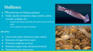 Aquaculture | PDF