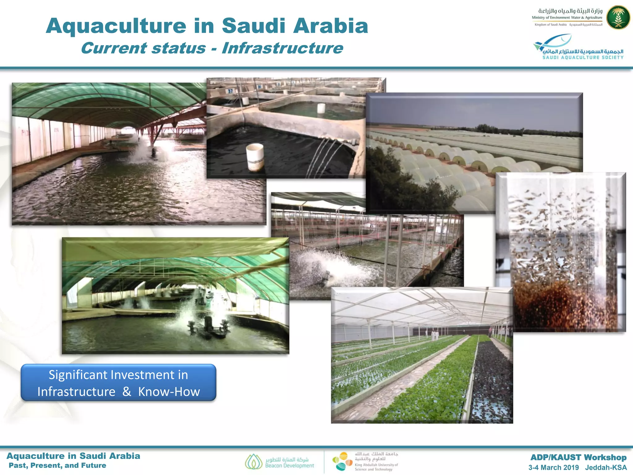 Aquaculture in Saudi Arabia (KAUST 3 2019) | PDF
