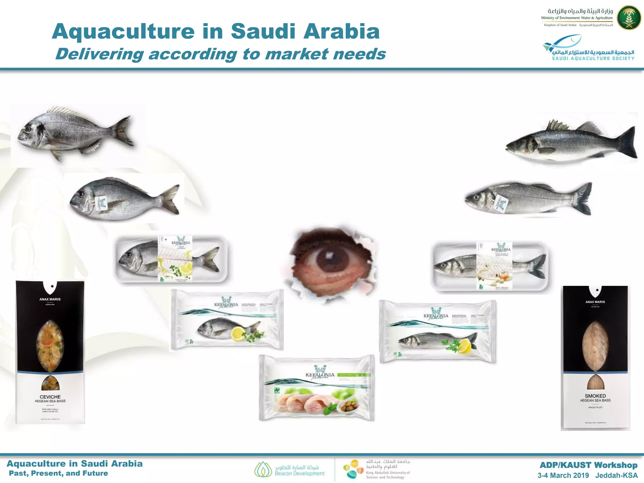 Aquaculture in Saudi Arabia (KAUST 3 2019) | PDF