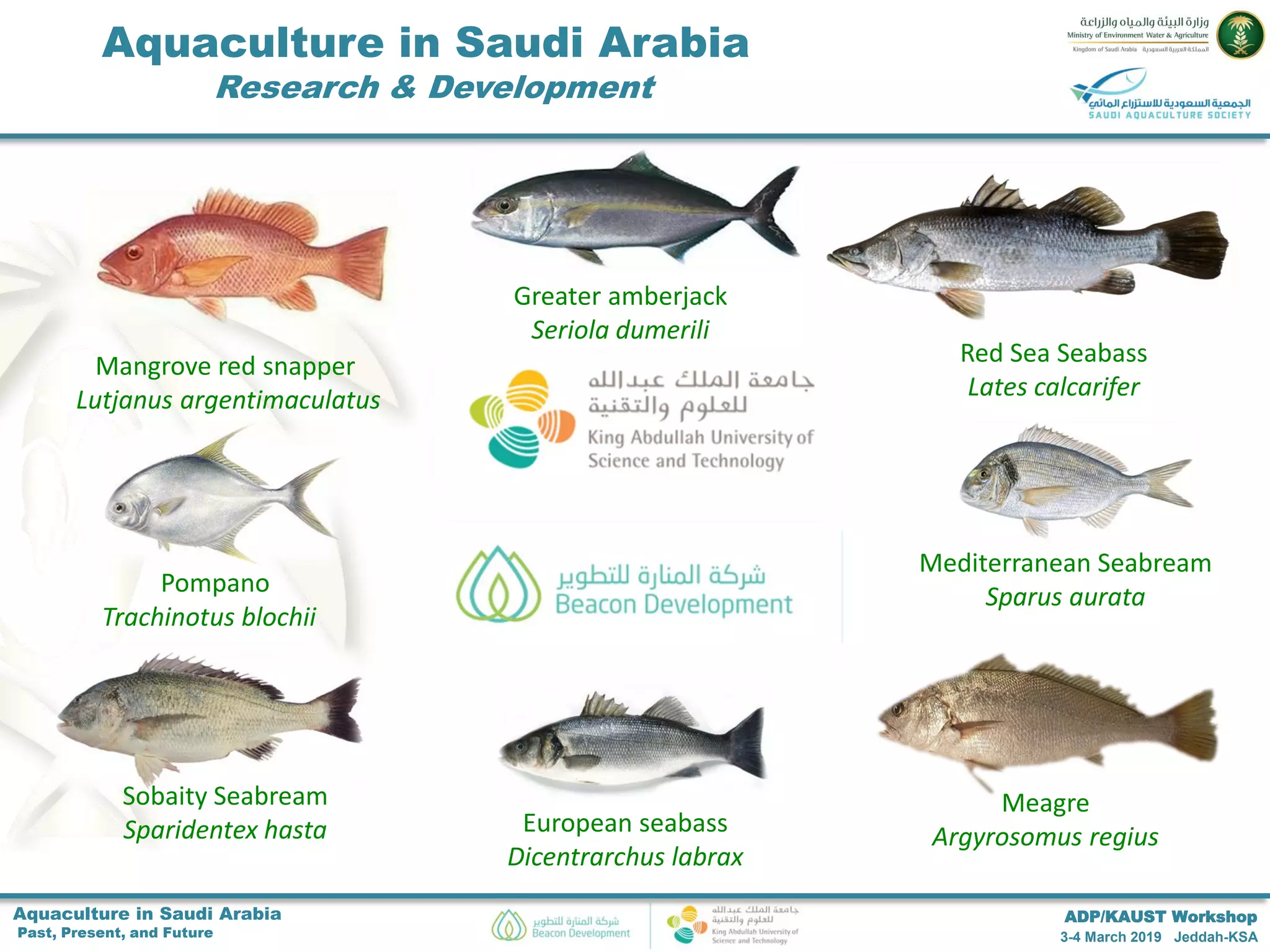 Aquaculture in Saudi Arabia (KAUST 3 2019) | PDF