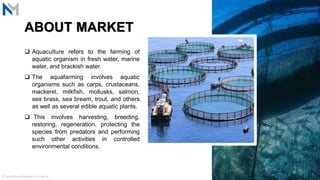 Aquaculture Market Trends, Top Manufactures, Industry Growth Analysis ...