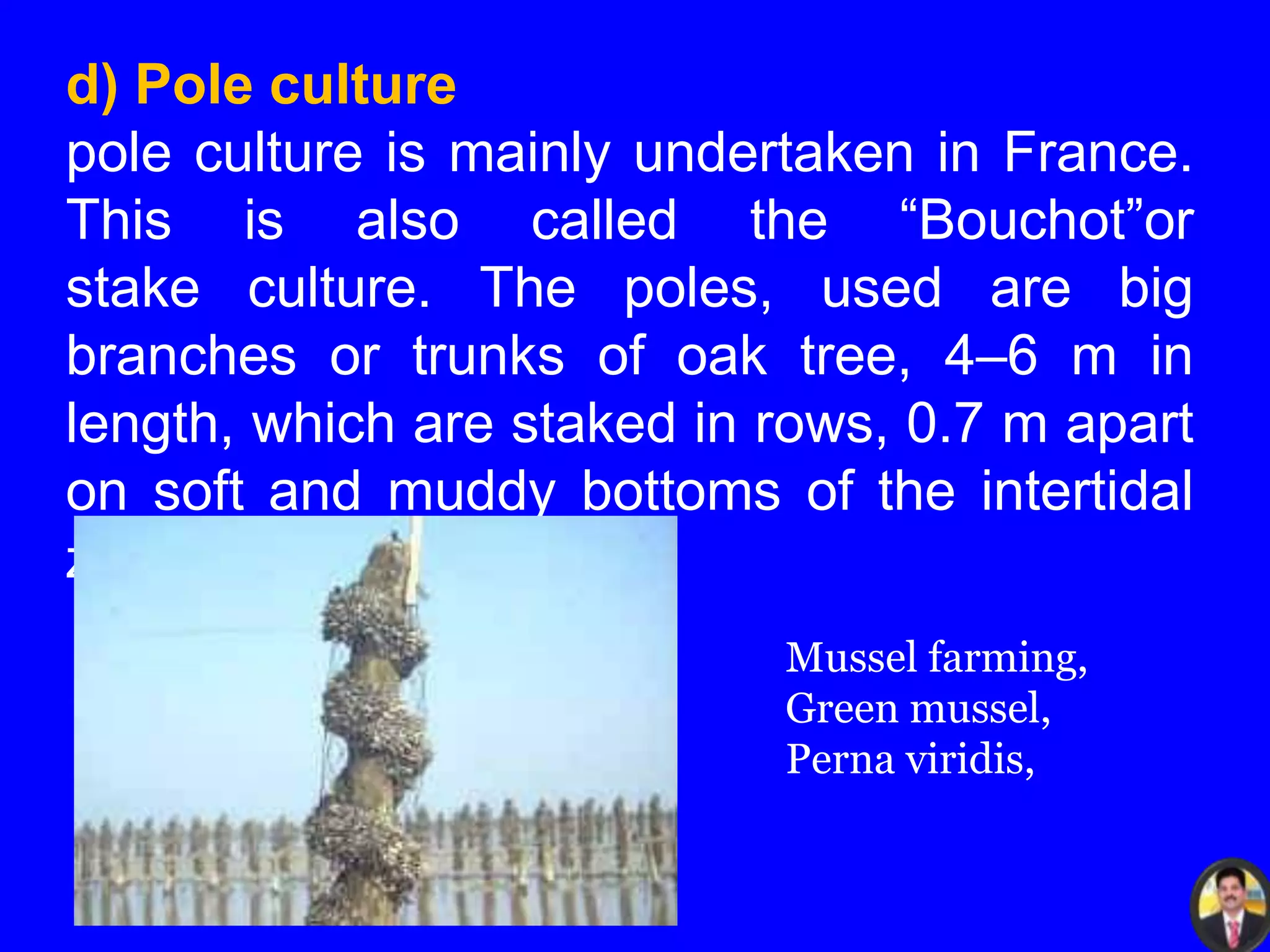 Types of Aquaculture practices | PPTX