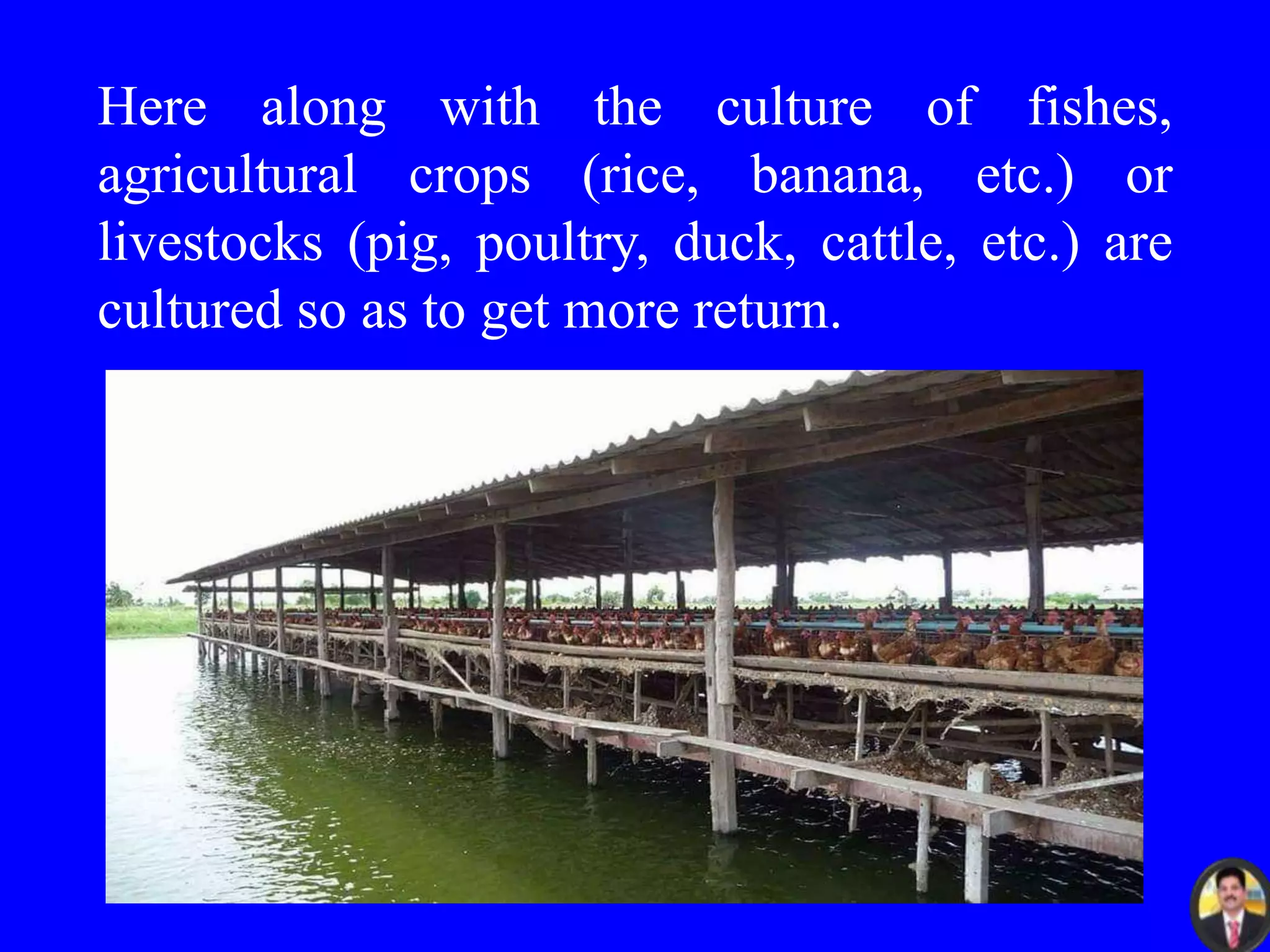 Types of Aquaculture practices | PPTX