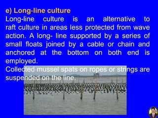 Types of Aquaculture practices | PPTX