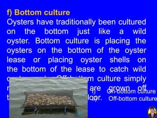 Types of Aquaculture practices | PPTX