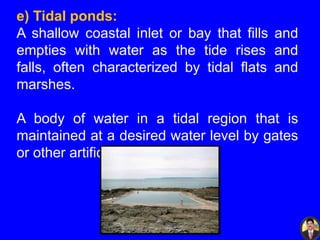 Types of Aquaculture practices | PPTX