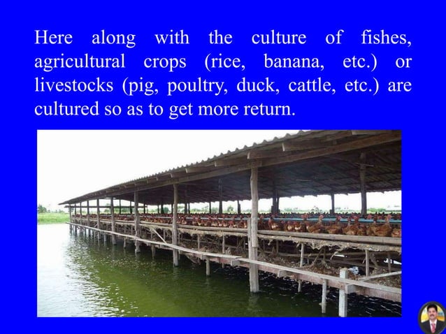 Types of Aquaculture practices | PPTX