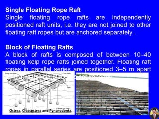 Types of Aquaculture practices | PPTX