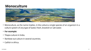 Aquaculture: Sustainable Farming of Aquatic Organisms | PPTX