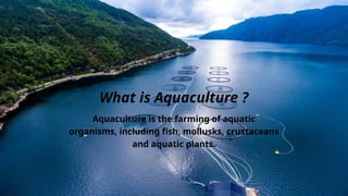 Aquaculture: Sustainable Farming of Aquatic Organisms | PPTX