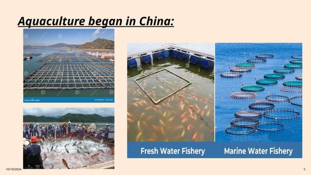 Aquaculture: Sustainable Farming of Aquatic Organisms | PPT