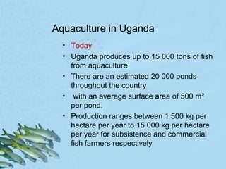 Aquaculture presentation by Komakech Richard | PPT