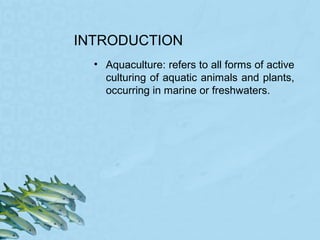 Aquaculture presentation by Komakech Richard | PPT