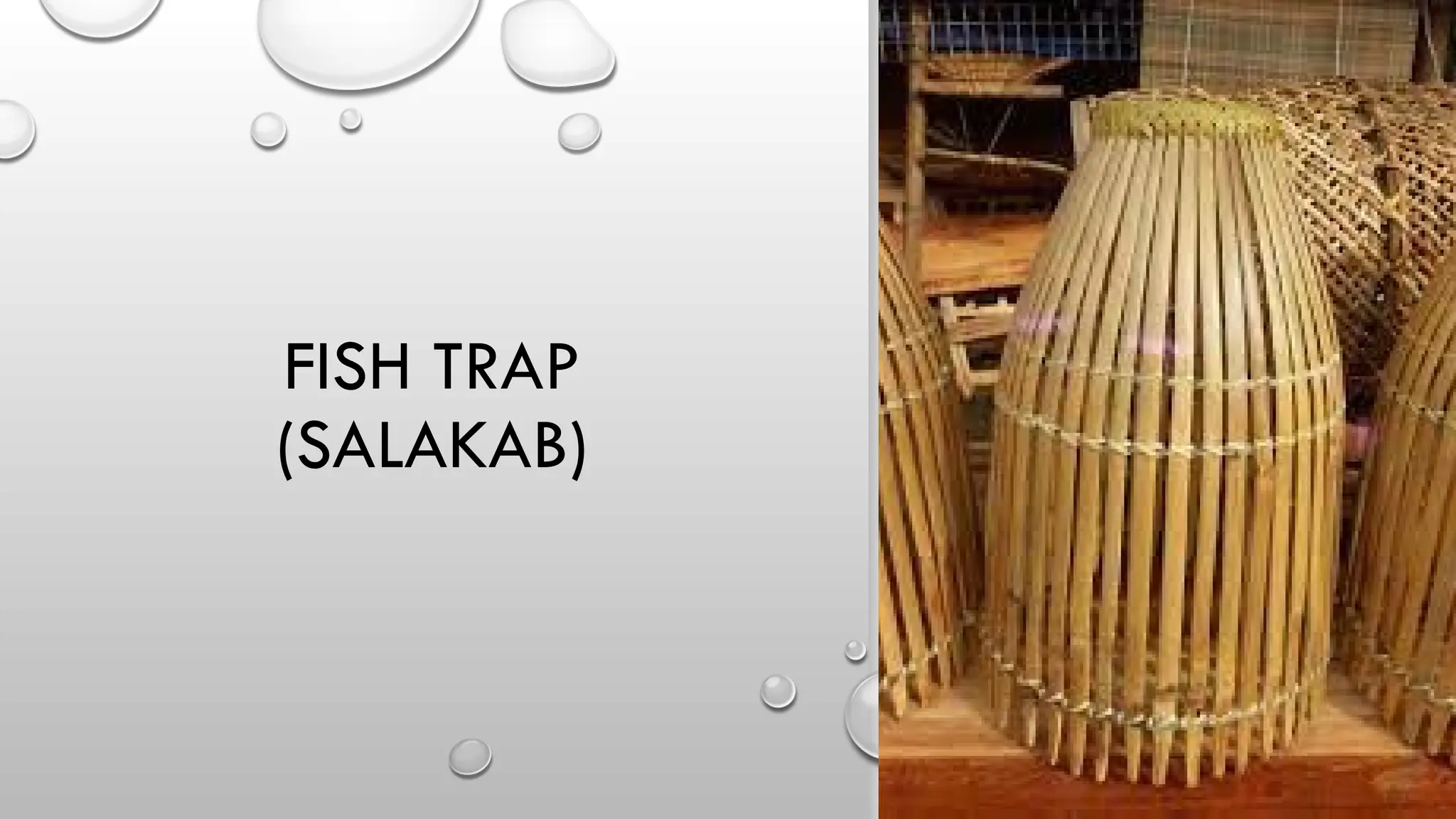 Aquaculture_Tools_and_Fishing_Gears_Presentation.pptx