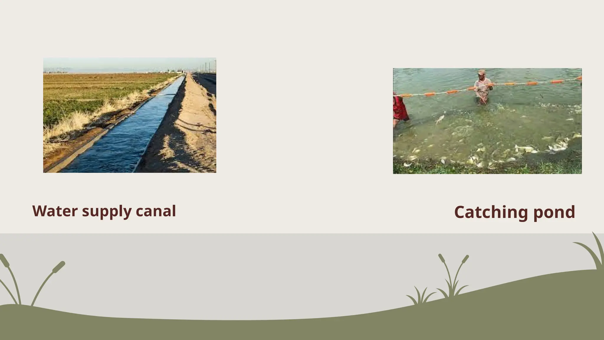 Aquaculture technology visual aid for quarter 2 | PPTX