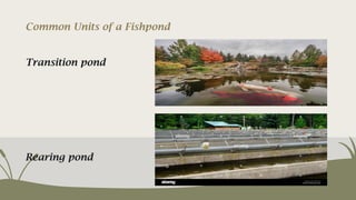 Aquaculture technology visual aid for quarter 2 | PPTX | Agriculture ...