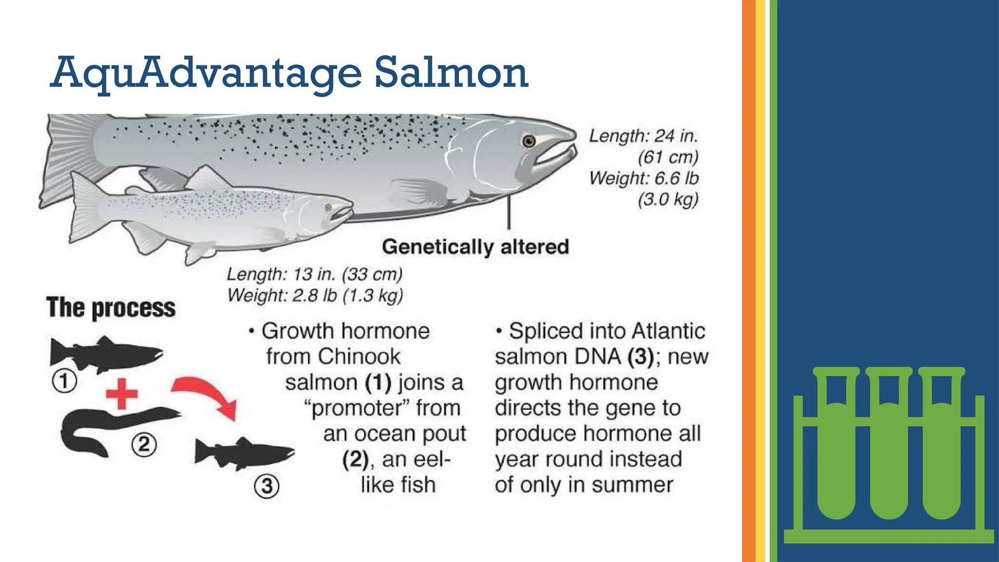 AquAdvantage-Salmon000000000007777777.pptx