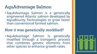 AquAdvantage-Salmon000000000007777777.pptx