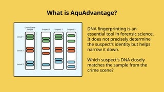 AquAdvantage (Fast-Growing Salmon) sCIENCE.pptx