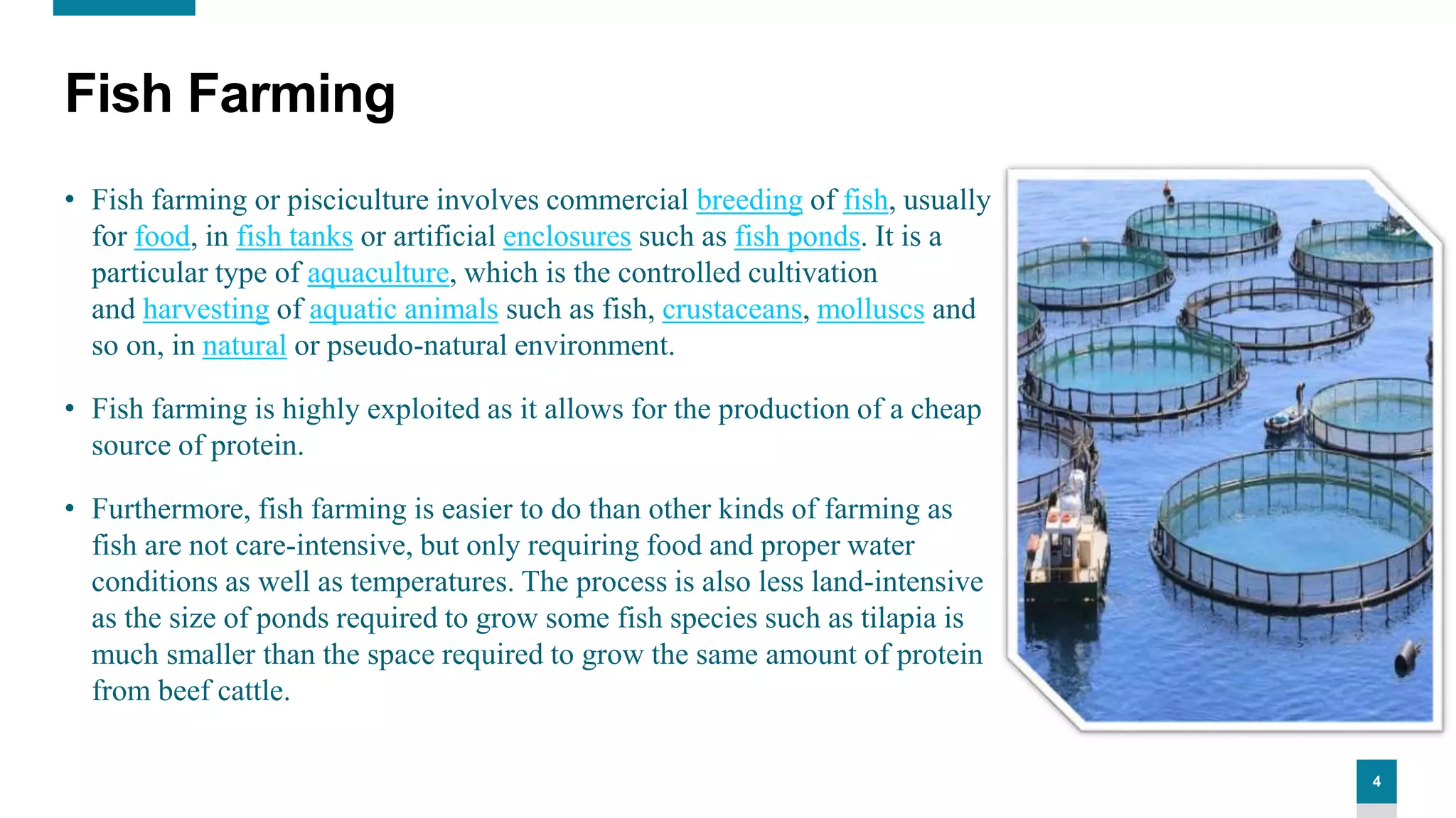 Aqua farming | PPTX