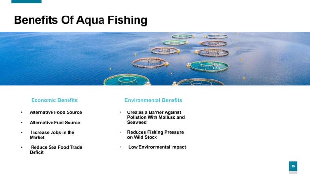 Aqua farming | PPTX