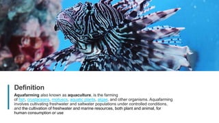 Aqua farming | PPTX