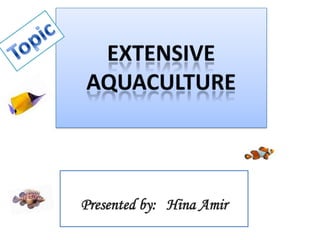 Extensive Aquaculture | PPTX