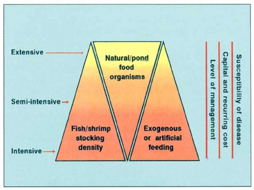 Extensive Aquaculture extensive-aquaculture