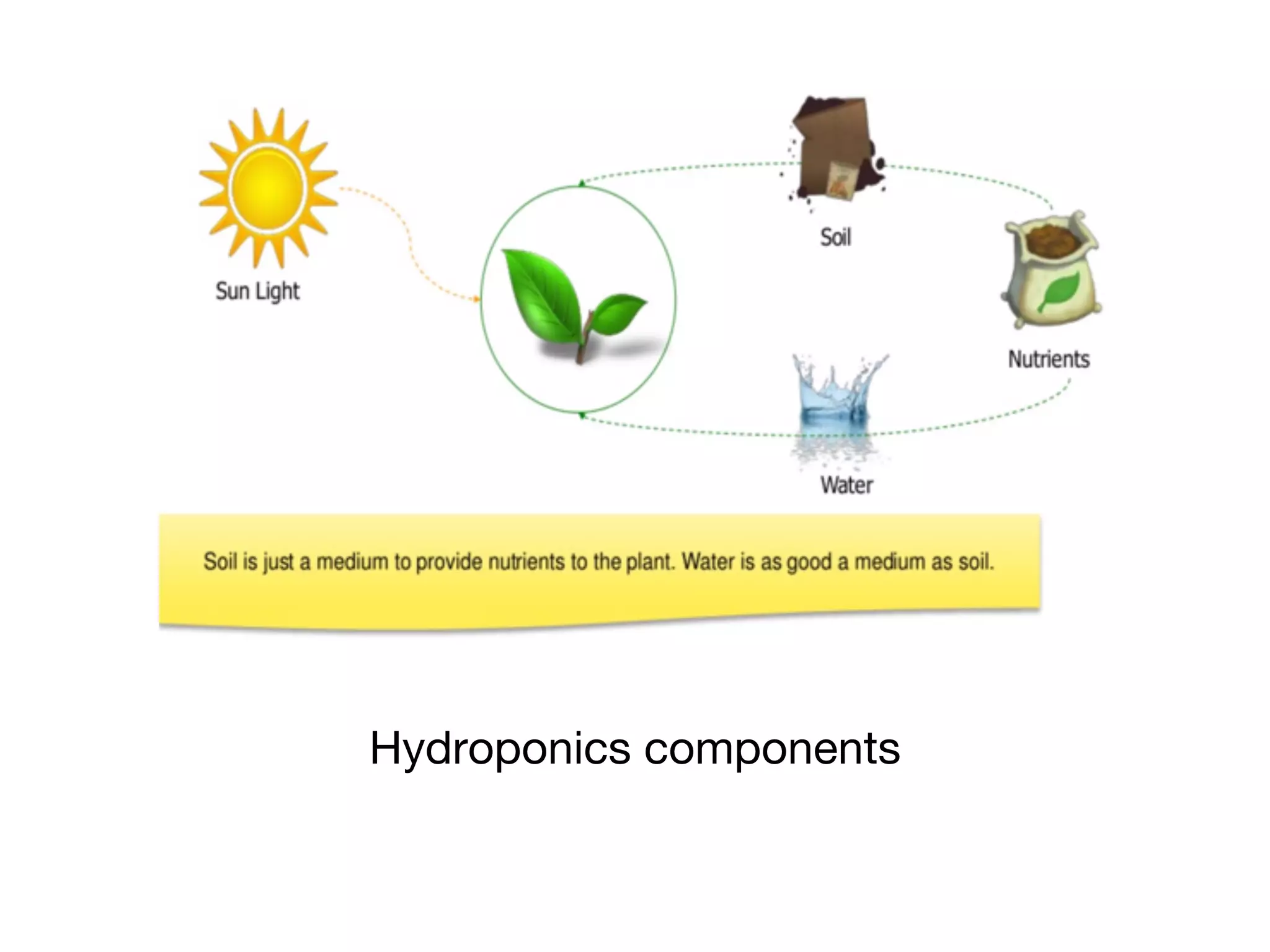Aqua, hydra, aeroponics | PDF