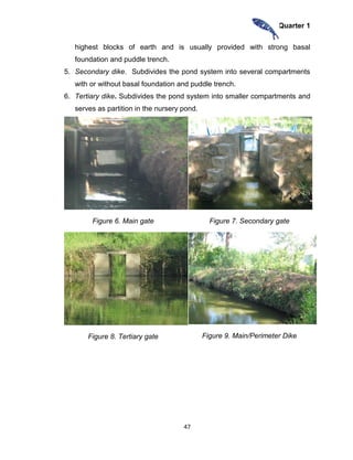 Aqua lm g10_q1-12-05-14 (1) | PDF