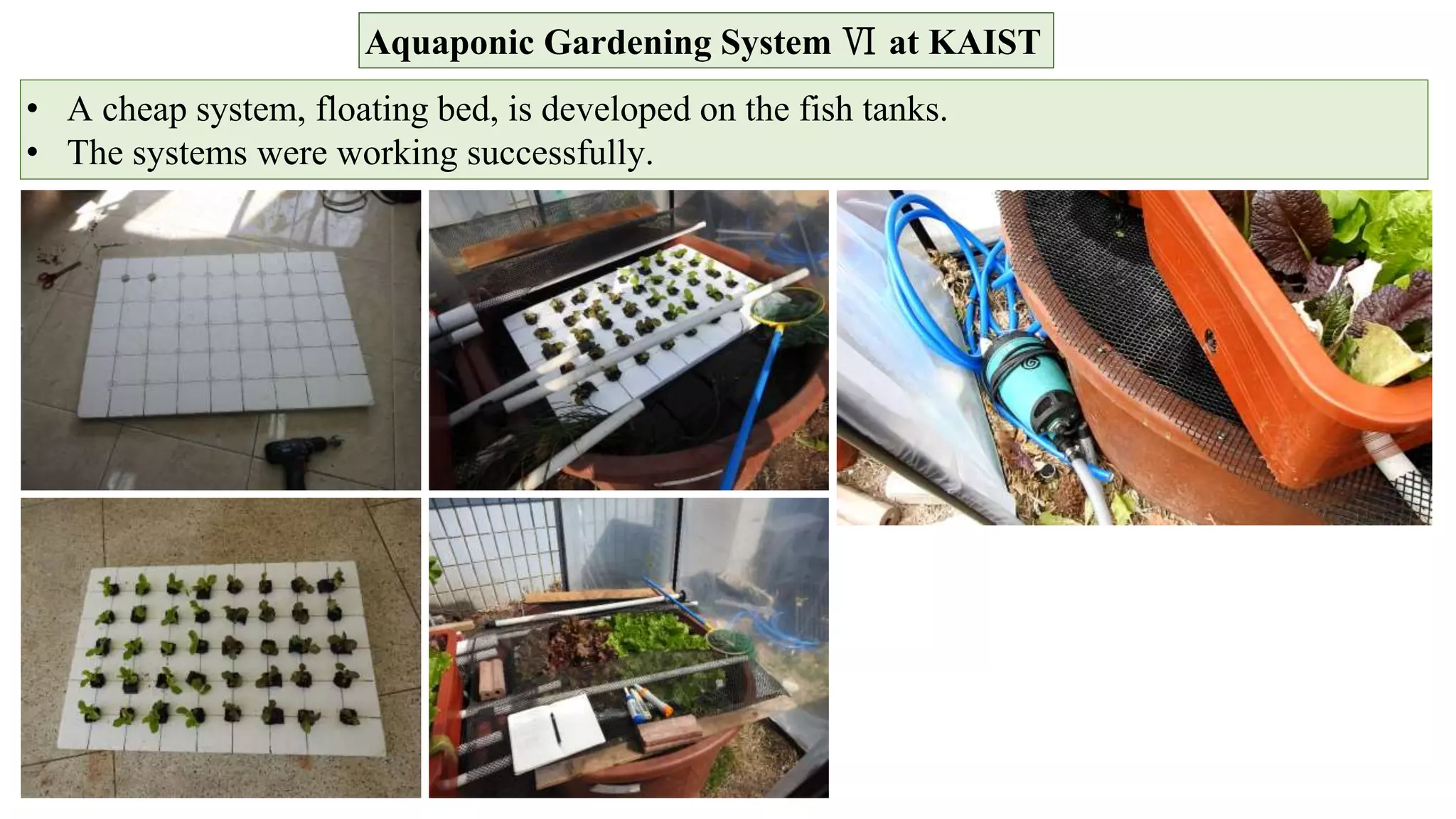 Aquaponic gardening | PPT