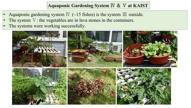 Aquaponic gardening | PPT