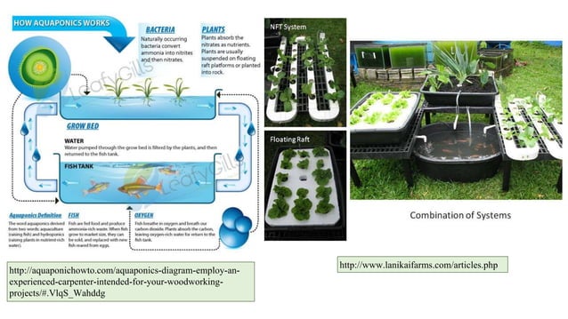 Aquaponic gardening | PPT
