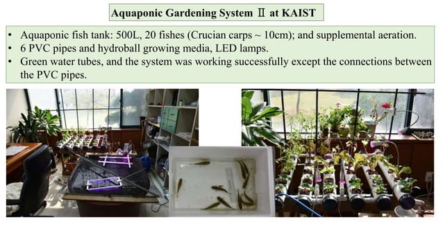 Aquaponic gardening | PPT