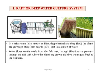 Vegetable production through Aquaponics | PPTX