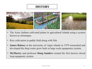 Vegetable production through Aquaponics | PPTX