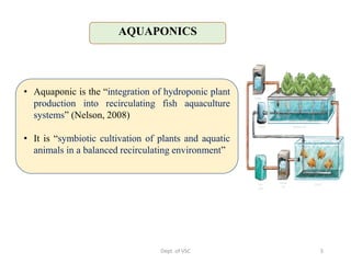 Vegetable production through Aquaponics | PPTX