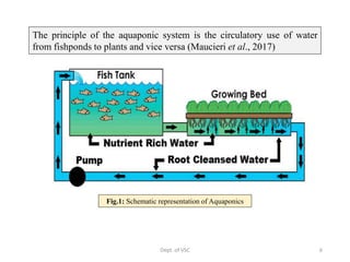 Vegetable production through Aquaponics | PPTX