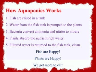 Aquaponics - Combined Fish and Vegetable Farming | PPT