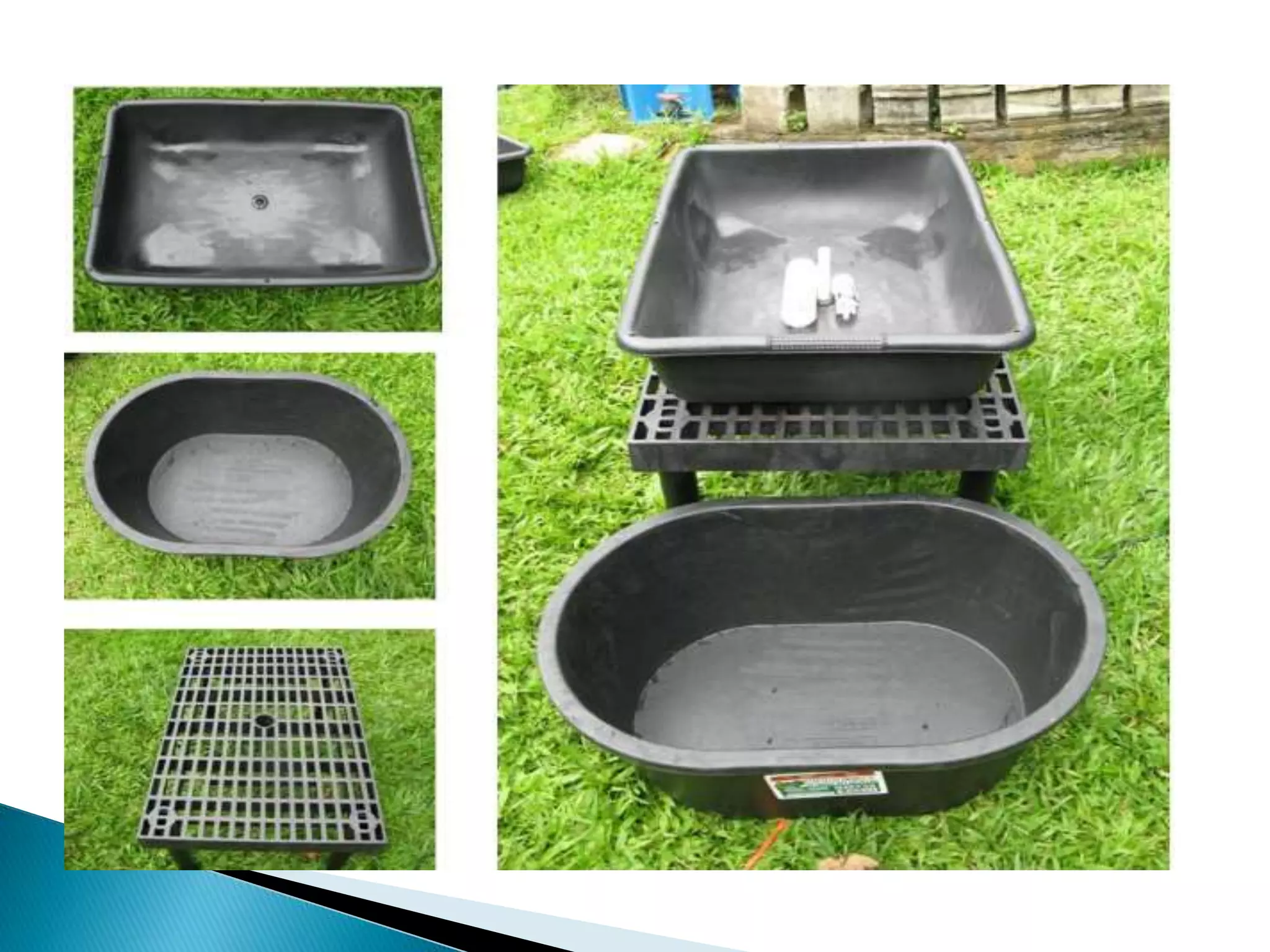 Aquaponics Technology | PPT