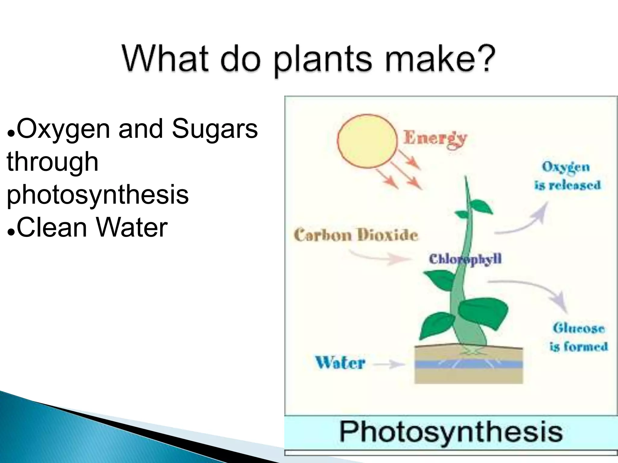Aquaponics Technology | PPT