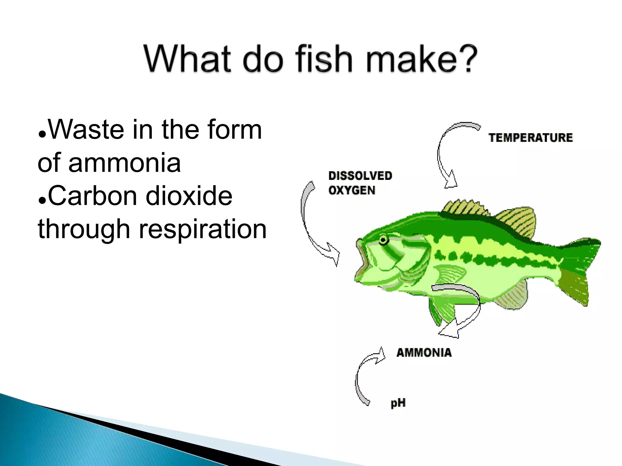 Aquaponics Technology | PPT