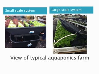 Aquaponics Technology | PPT