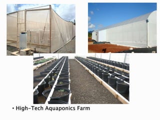 Aquaponics Technology | PPTX
