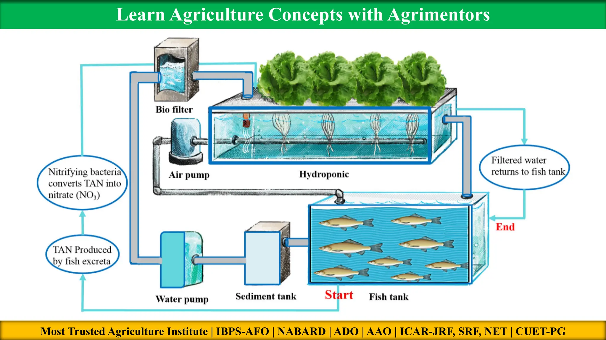 Aquaponics and hydroponics agriculture.pdf Aquaponics and hydroponics agriculture.pdf
