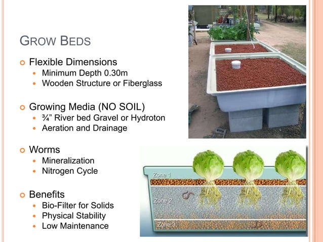 Aquaponic Food Production | PPT