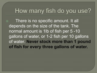 Aquaponics (environmental science) | PPT