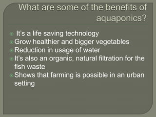 Aquaponics (environmental science) | PPTX