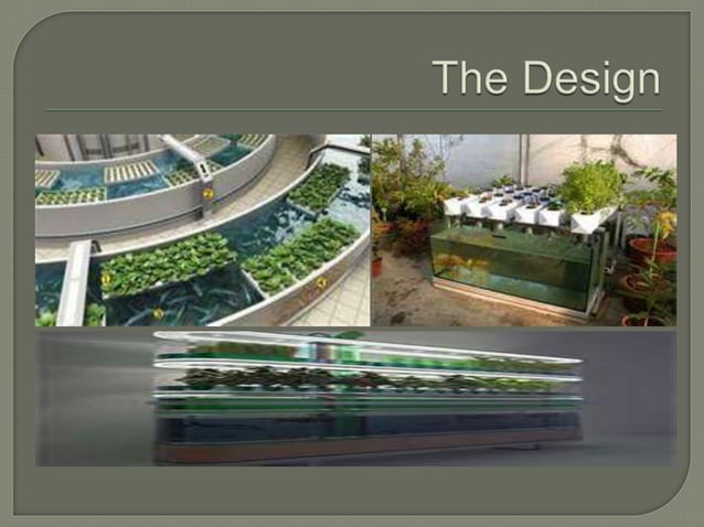 Aquaponics (environmental science) | PPT