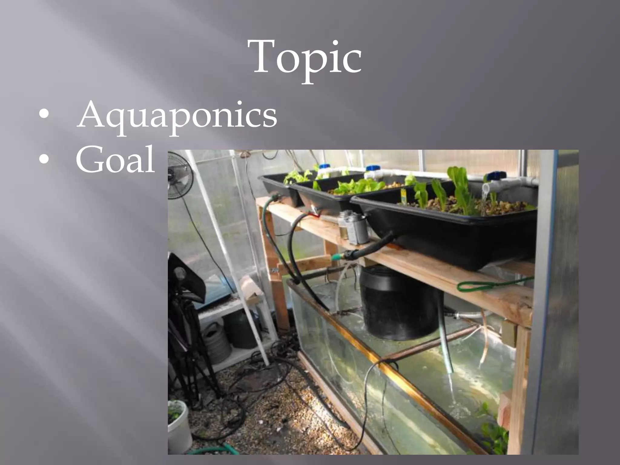 Aquaponics presentation | PPTX